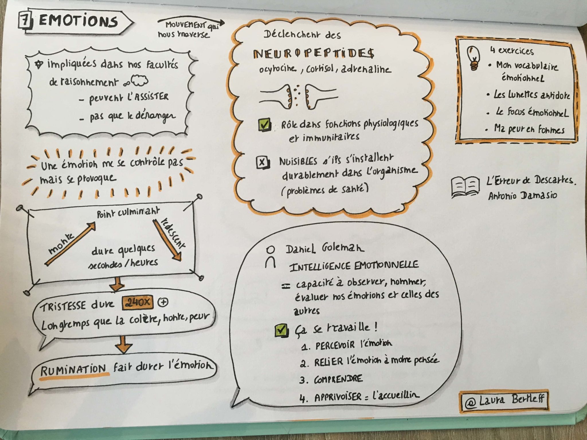Le sketchnoting: être acteur de ses apprentissages ! - Learning Brain